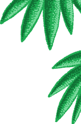 İkinci Elde Gelecek Var